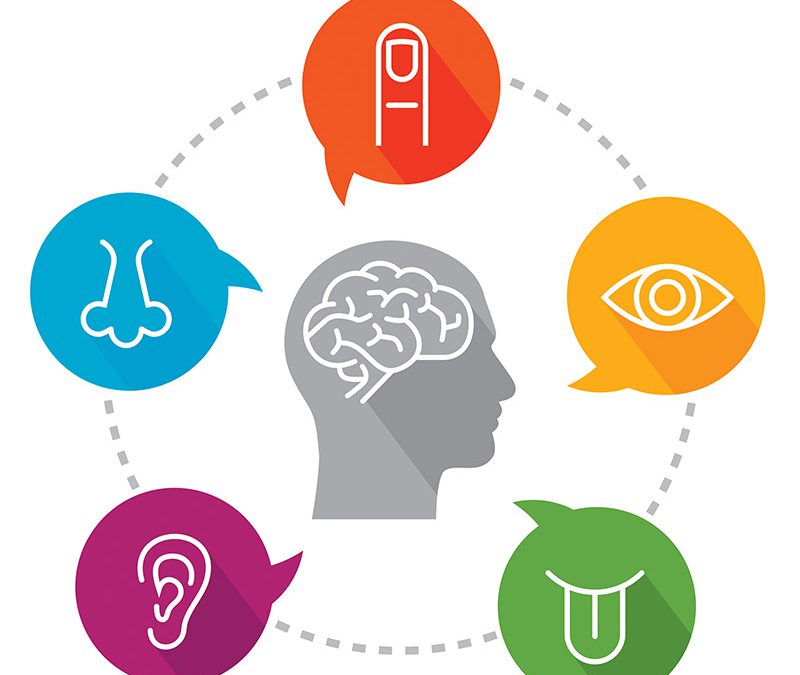 Sensory Profiling Training addition to the Autism Training